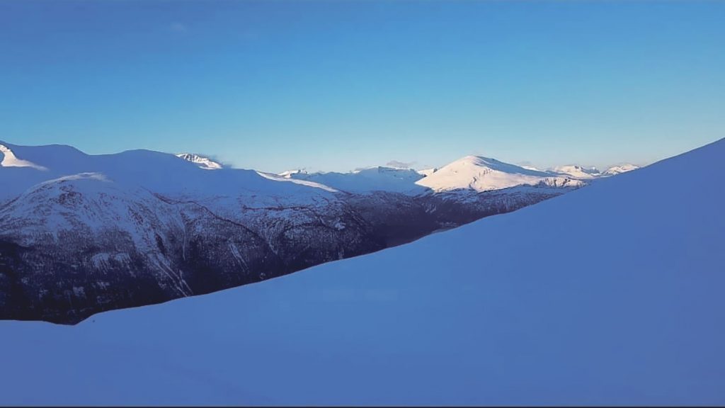 Lesarbilete 2019 - Storfjordnytt