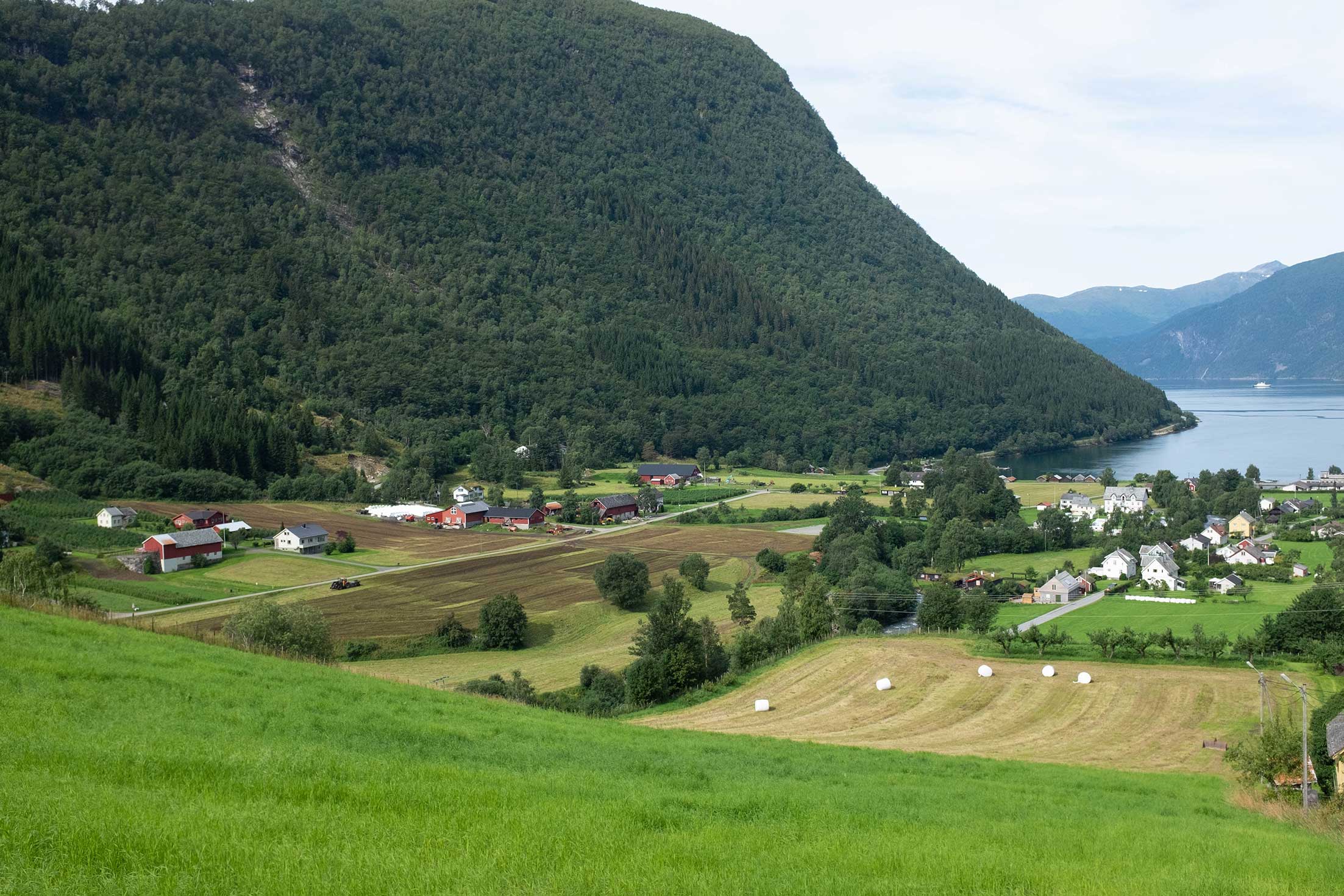 Greit volum, men usikker på fôrkvaliteten - Storfjordnytt